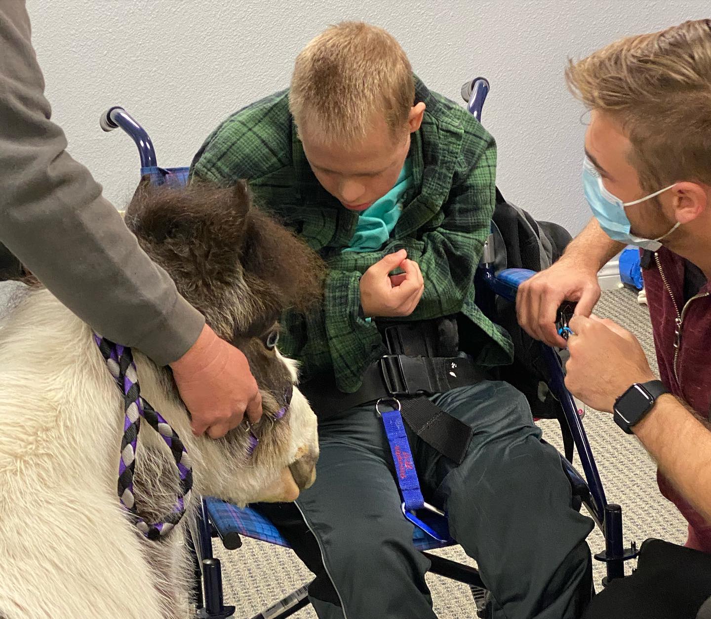 Healing With Hooves Therapy